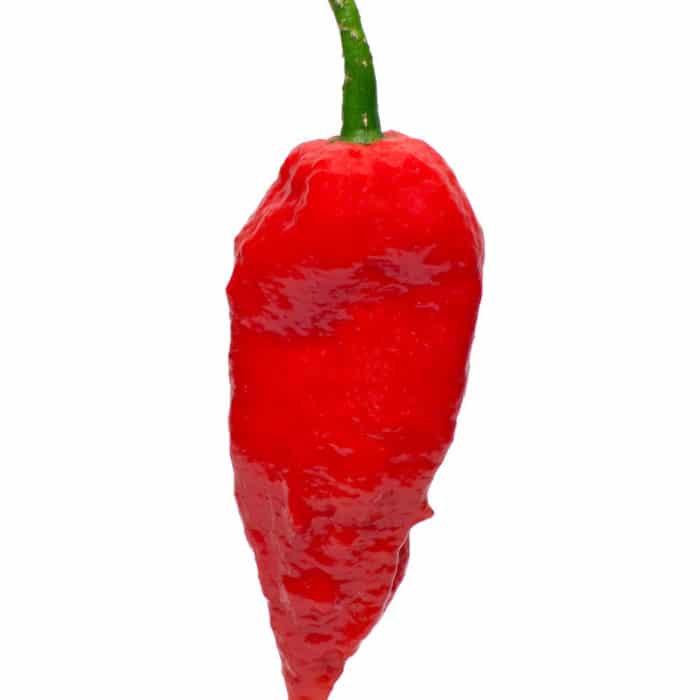 Southern Hot Pepper Sauce Recipe - PepperHead