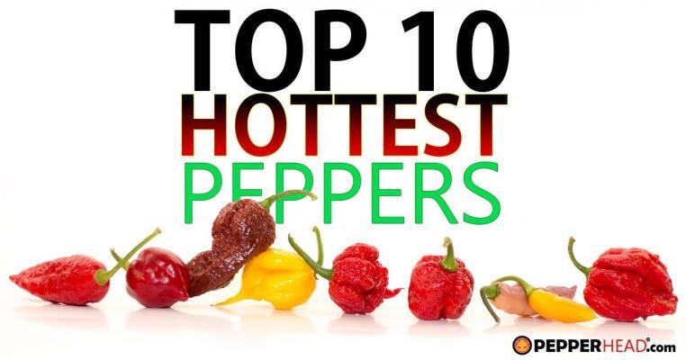 Top 10 World’s Hottest Peppers – PepperHead